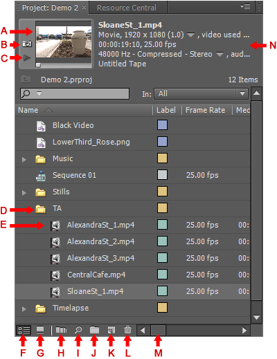 Adobe Premiere Project Panel